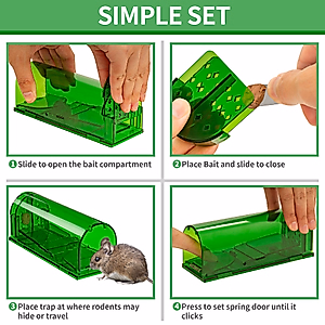 LULUCATCH Mouse Traps 2 Pack, Humane Mouse Trap, Live Catch Release with Super Glue Traps 6 Pack for Mice & Snakes, Larger, Heavier Sticky Traps with Non-Toxic Glue.