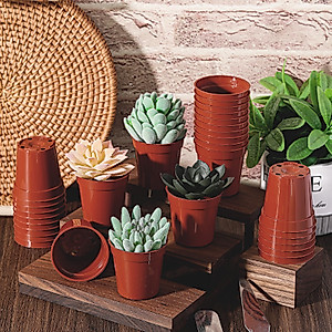 Yaomiao 200 Pcs 2 Inch Red Mini Plastic Plant Pot Nursery Seedling Pots Seed Starter with Drainage Holes for Indoor Outdoor Garden Succulent Plants Cuttings Transplanting