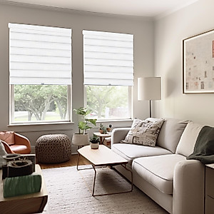 CHICOLOGY Zebra Blinds, Roller Window Shades, Blinds for Windows, Roller Shades for Windows, Window Shades for Home, Window Shades, Pull Down Shades for Windows, 22" W X 72" H, Basic Arctic