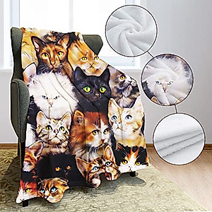 YISUMEI Orange Cat Baby Throw Blanket Kitty Loves Orange Cat Combo Fleece Blanket Soft Warm Cozy for Kids Adult Gifts 50"x60"