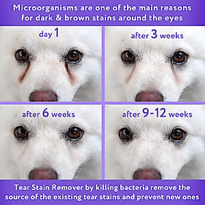 Arava Natural Tear and Stain Remover for Dogs and Cats - Effective Solution with 26 Dead Sea Minerals, Removes and Prevents Eye and Saliva Stains