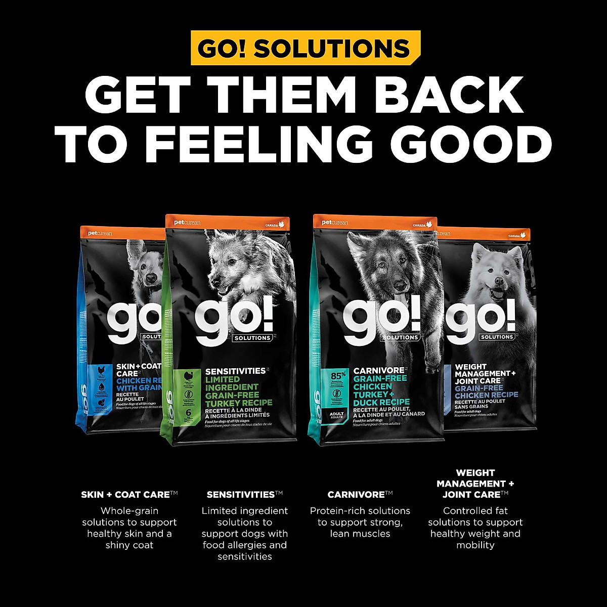 Go! Solutions Digestion + Gut Health, Dry Dog Food, Chicken Recipe with Ancient Grains, 3.5 lb Bag