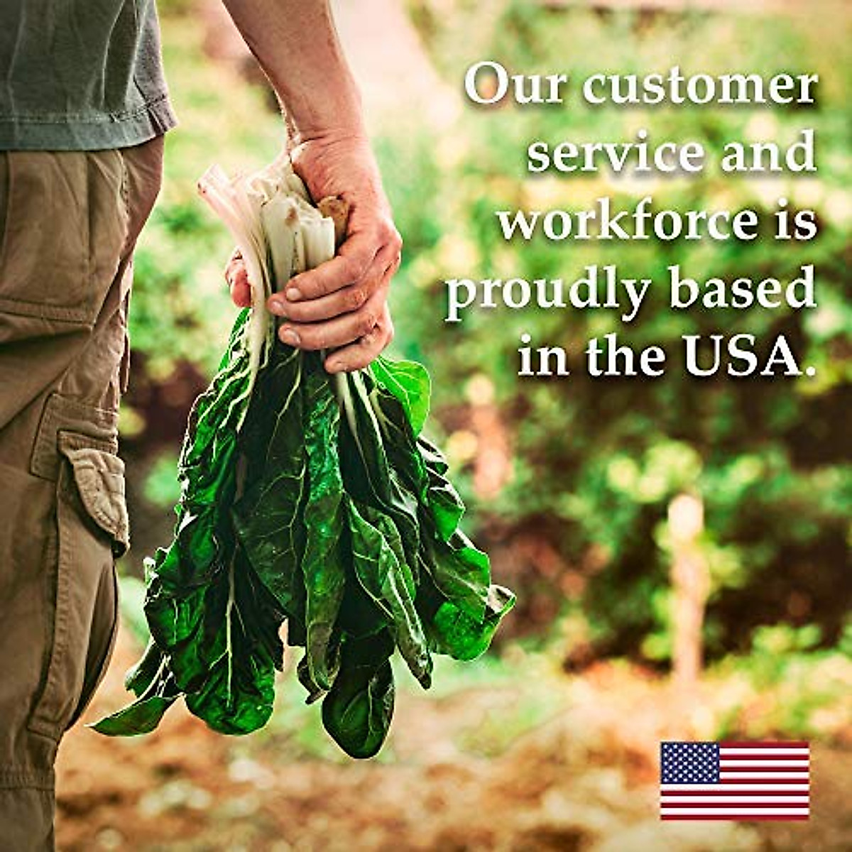 Lemon Grass Seeds for Planting Outdoor - 250 Mg Packet - Non-GMO, Heirloom Culinary Herb Garden Lemongrass Seeds - Cymbopogon citratus