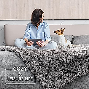 Pawque Faux Fur Blankets Queen Size 60x80 inches, Super Soft Fuzzy Fluffy Blanket, Warm Thick Sherpa Long Hair Shag Reversible Lightweight Cozy Throw for Bedroom Sofa Couch, Grey