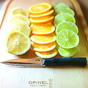 Opinel Intempora 4 Inch Serrated Paring Knife, Serrated High Carbon Steel Blade, Easy to Handle, Full Tang Construction, Ideal for Cutting Tough Skins, Made in Portugal