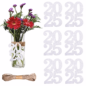 24 Pieces Glitter 2025 Cutouts Tags Decorations Double Side 2025 Graduation Cutouts 2025 Graduation Centerpiece 2025 New Year Decorations for Graduation New Year Party Supplies Favor(Silver, 2025)