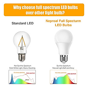 Neporal Full Spectrum Light Bulb, 6000K Natural Sunlight Bulbs, Cool White, 9W 60W Equivalent A19, E26/E27 LED Light Bulbs for Study Office Bedroom Living Room, Pack of 3