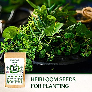 Herb Seeds 15 Variety Pack - Non GMO, Heirloom Seeds for Planting Indoor, Outdoor, and Hydroponic Medicinal Garden - Basil, Cilantro, Mint, Lavender, Rosemary, Dill, Parsley, Thyme, Sage, and More