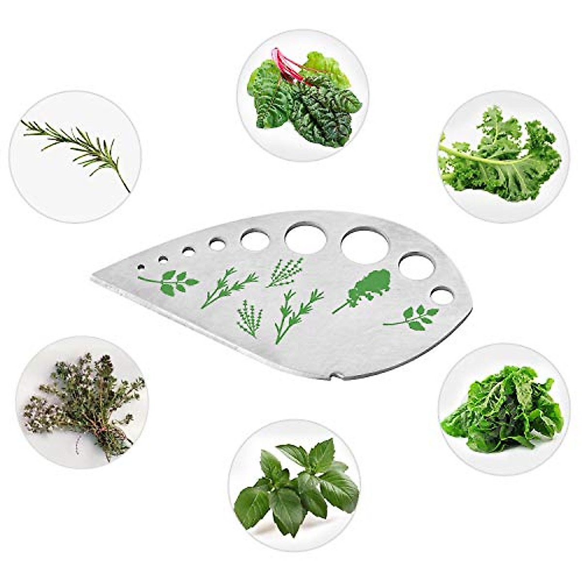Leaf Herb Stripper, Stainless Steel Kitchen Herb Stripper Tool, 9holes, 2 in 1 design,Curved edge can be used as a kitchen knifefor Chard, Collard Greens, Parsley, Basil, Rosemary Herb, Taragon, Thym