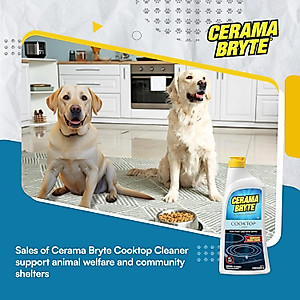 Cerama Bryte Combo Kit POW-R Grip, Scraper, Pads & Removes Tough Stains Cooktop and Stove Top Cleaner for Glass - Ceramic Surfaces, 10 Ounces, 6 Piece