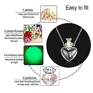 1PC Clear Heart Vial Perfume Bottle Necklaces Stainless Steel Chain Make a Wish blood vial necklace Women Jewelry