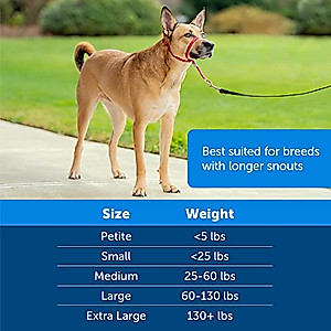 PetSafe Gentle Leader No-Pull Dog Headcollar - The Ultimate Solution to Pulling - Redirects Your Dog's Pulling For Easier Walks - Helps You Regain Control - Medium , Black