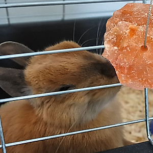 PINVNBY 12 Pieces Rabbit Himalayan Salt Lick Block,Pink Small Pets Natural Mineral Salts Blocks with Hook Hanging Small Animals Treat Chew Toys for Rabbits Horses Bunny