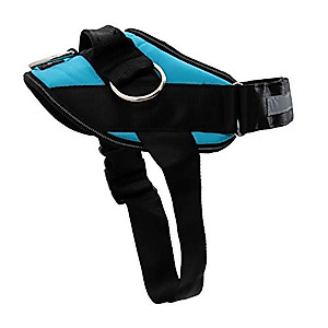 ShawnCo Essential Dog Harness, No-Pull Pet Vest with 3 Leash Clips, No Choke, Reflective, Adjustable and Padded, for Easy Walking and Training for Small, Medium and Large Dogs (Oceanic Blue, Medium)