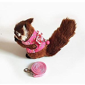 LXT&YY Small Animal Outdoor Walking Vest Harness and Leash Set with Cute Bowknot and Clear Bell Decor Chest Strap Harness for Bunny Ferret Guinea Pig Hamster Kitten Clothes Accessory (S)