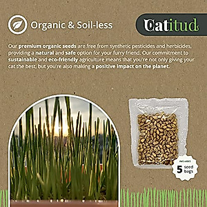 CATITUD | Cat Grass Growing Kit with 5 Packets HYDROPONIC Seeds | Cat Grass Kit Includes Pot with Non-Slip Base | Cat Grass for Indoor Cats with Planter, Best Gift for Cats