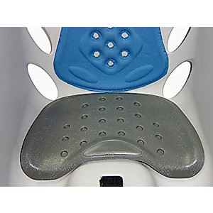 Schwinn Deluxe Bicycle Mounted Child Carrier/Bike Seat For Children, Toddlers, and Kids, Adjustable 3-Point Harness and Headrest, Padded Crossbar, Grey