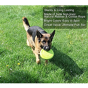 Jalousie Chew Toy Natural Rubber chew Toy for Interactive Play Toy Ball Rope Rubber Value Set for Small to Medium Breed Dog mutt Puppy