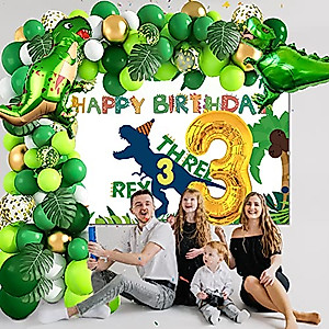 Three Rex Birthday Party Decorations Boy, 3rd Dinosaur Birthday Decorations with 3 Rex Birthday Backdrop Dinosaur Balloon Kit Tablecloth and Cake Toppers for Dino Birthday Decorations for Boys