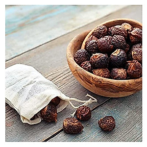 AnNafi® Reetha | Organic Soap Nuts | Aritha/Areetha/Kunkudukaialu | Sapindus used for making Reetha Powder, Ritha Shampoo, Oil | Natural Hair Care & Growth | Organic Laundry Detergent (100grams)