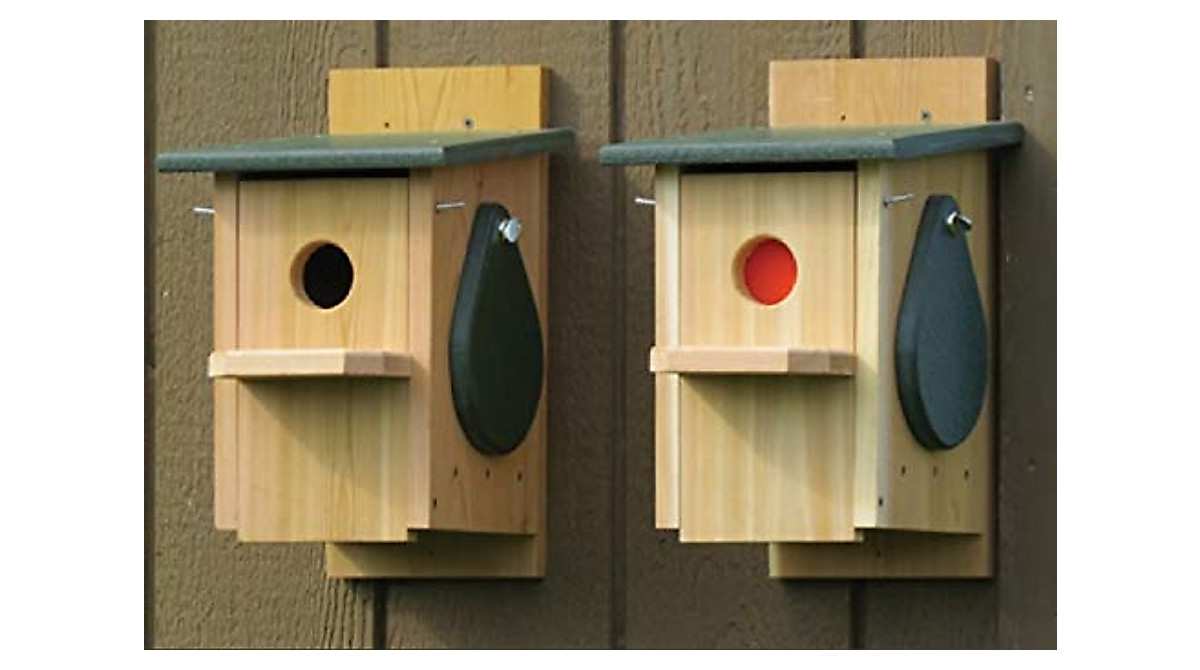 Effective Bird Trap for Sparrows and Starlings | Ravenox Eliminator
