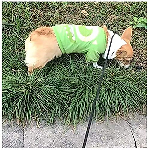 BTINESFUL 7FT Slip Lead Dog Leash, Strong Nylon Rope Leash, 1/4 & 1/2 inch Diam Dog Training Lead for Small Medium Large Dogs (1/4" * 7 FT, Black)