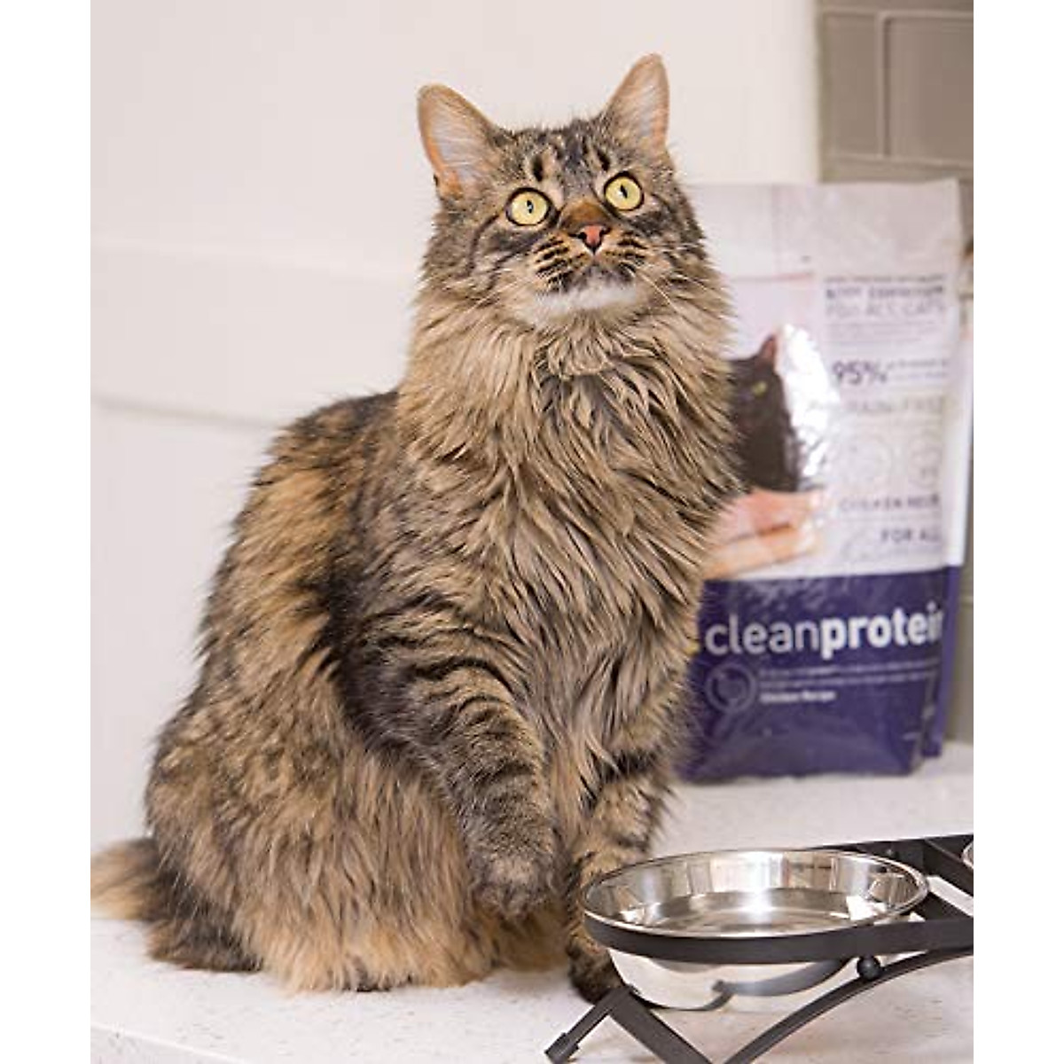 Dr. Elsey's Cleanprotein Grain Free High Protein, Low Carb Dry Cat Food, Chicken, 2lb , Pack of 1(Packaging May Vary)