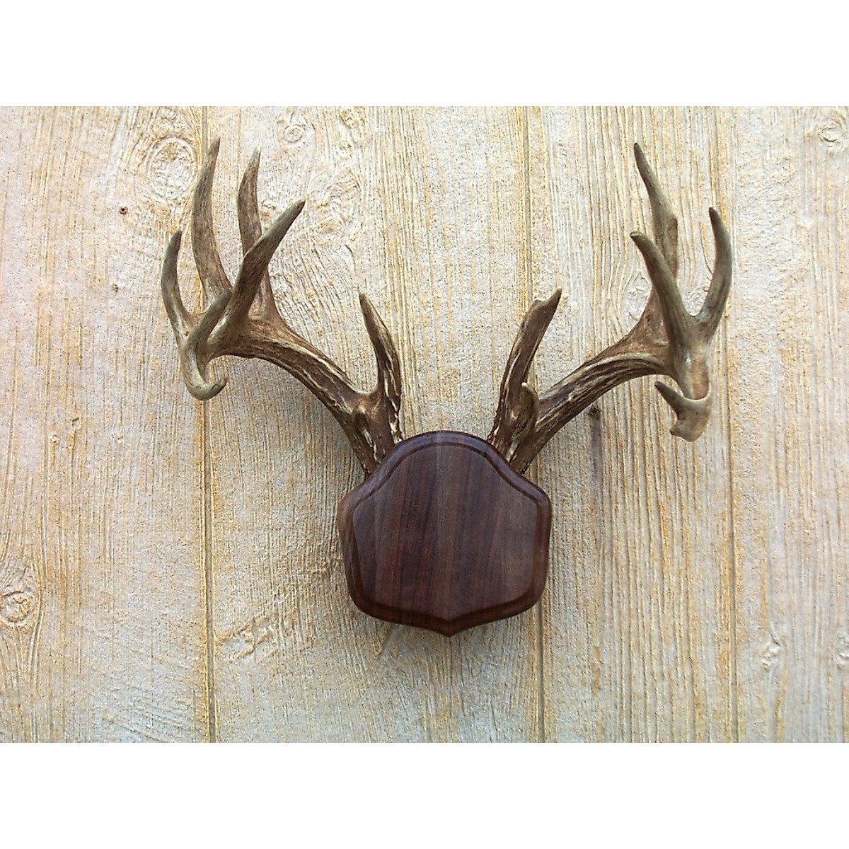 The Taxidermists Woodshop Black Walnut "The Deer Stand" Antler Mounting Kit