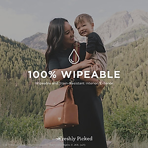 Freshly Picked Classic Mini II Diaper Bag Backpack, Wipeable Vegan Leather Harry Potter Diaper Bag, 8 Pockets (Harry Potter)