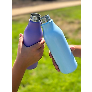 LaserGram Double Wall Stainless Steel Water Bottle, Ladybug, Personalized Engraving Included (Red)