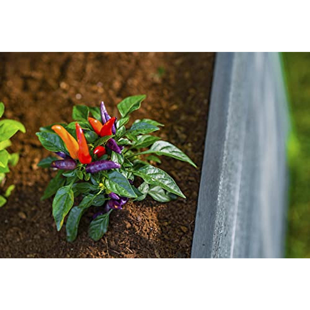 Vita Urbana 3 Foot x 5 Foot Embossed Vinyl Keyhole Garden with Composting Basket, Slate Grey, Gray, PVC, BPA and Pthalate Free, Woodgrain, VT17602