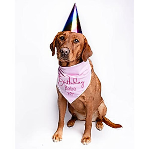 Dog Birthday Bandana for Large Dog – 23 x 23 in, Large, Embroidered Birthday Girl Dog Bandana for Dogs with Stitched Edges & Cotton Drawstring Bag – Dog Birthday Gifts & Dog Clothes by Kendall Wags