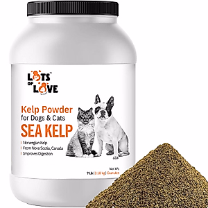 Organic Sea Kelp Powder for Dogs (7 Pounds, 3.2 KG), Iodine for Dog, Thyroid Support for Dog & Cat, Norwegian Kelp Dog Powder Supplement by Lots of Love