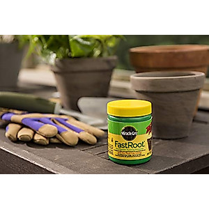 Miracle-Gro FastRoot1 Dry Powder Rooting Hormone: Houseplant and Succulent Propagation, for Rooting House, Foliage, Tropical, and Hardy Ornamental Plants, 1.25 oz