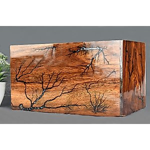 Lichtenberg Figure Urn for Human Ashes Rosewood and Resin Cremation urn Burial Urn Box Adult Large Funeral Ashes Urn for Adults up to 250 CB Active (Only Lichtenberg)
