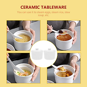 Angoily 2pcs Ceramic Stew Pot with Lid Small Steam Soup Bowl Steaming Cup Stockpot Cookware for Egg Custard Medicinal Birds