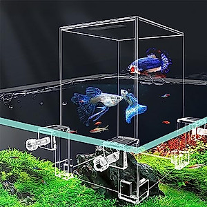 TREELF Complete Set of Negative Pressure Fish Tank Floating Betta Fish Tank Mini Suspended Fish Bowl Ecological Aquarium with Landscaping and Decoration for Small Space Living Room or Desktop