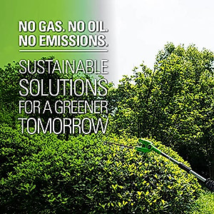 Greenworks 40V 20" Cordless Pole Hedge Trimmer, 2.0Ah Battery and Charger Included