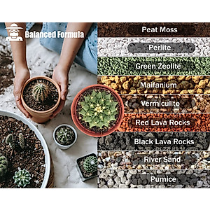 O-FarFarm Cactus Soil Potting Mix 1.1 LBS, Optimized PH Fast Draining with Added Nutrients, Perfect for Small Cactus Pots