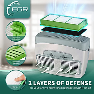 EGR HAPF300AH Remover True HEPA Filter, EGR AER1 Filters Replacement for Holmes Air Purifier, Parts HAPF300AH-U4R & HAP242-NUC - 2 True HEPA + 4 Pre Filter