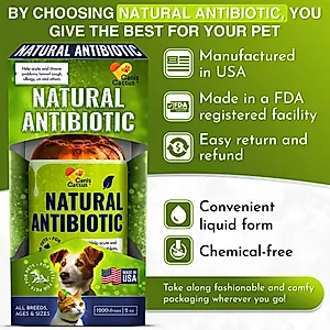 Antibiotics for Dogs | Cat Antibiotic | Pet Antibiotic | Natural Antibiotics for Cats | Dog Antibiotic | Natural Antibiotic for Dogs | Antibiotic for Cats | 2 Oz