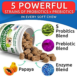 Dog Probiotics Chews Bundle - Gas, Diarrhea, Allergy, Constipation, Upset Stomach Relief, with Digestive Enzymes + Prebiotics - Chewable Fiber Supplement - Improve Digestion, Immunity - 300 Soft Chews