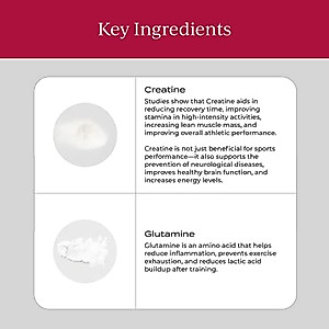 CYMBIOTIKA Creatine+, Creatine and Glutamine Supplement for Amino Energy, Recovery, Muscle Mass & Brain Support, Liposomal Delivery, Gluten Free & Vegan, Raspberry Flavor - 30ml Pouches (Pack of 20)