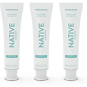 Native Toothpaste Made from Naturally-Derived Cleaners and Simple Ingredients That Safely Whitens Teeth, 4.1 oz, Wild Mint Fluoride Free - 3 Count