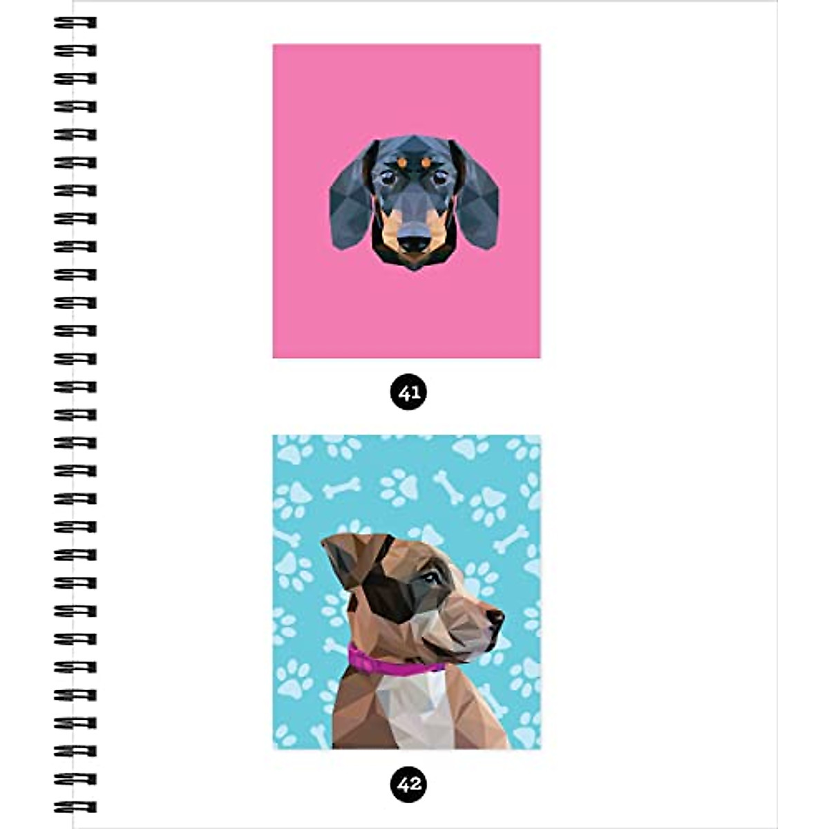 Brain Games - Sticker by Number: Puppies & Dogs - 2 Books in 1 (42 Images to Sticker)