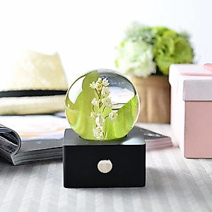 MISS LI GARDEN Forever Flower Special Edition,Lily of The Valley, White Base, Elegant Present for Girlfriend Wife Mom Women Enchanted Birthday Anniversary Wedding Home Décor