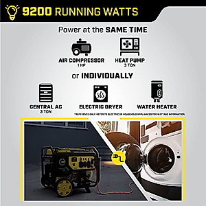 Champion Power Equipment 201194 11,500/9,200-Watt Dual Fuel Portable Generator, Electric Start