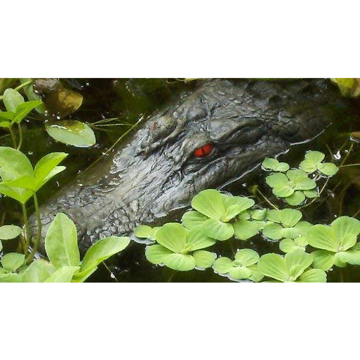 TJB-INC 22" Alligator Head Decoy & Pond Float with Reflective Eyes for Canada Geese & Blue Heron Control