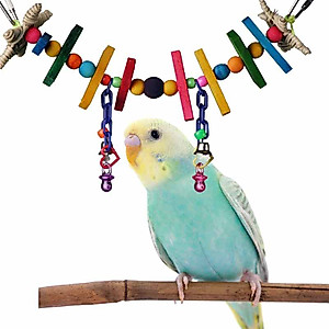 Super Bird Creations 2 by 11-Inch Mini Rainbow Bridge Bird Toy, Small