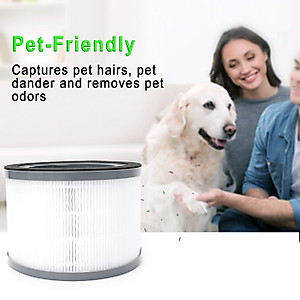 Flintar Vista 200 True HEPA Replacement Filters, Compatible with Vista 200 Air Purifier Only, 3-in-1 H13 Grade True HEPA Filter Replacement, Vista 200-RF, 2-Pack